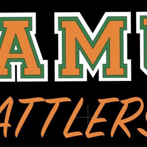 Florida A&M University “black” A-line (off the Shoulder) Glitter/non ...