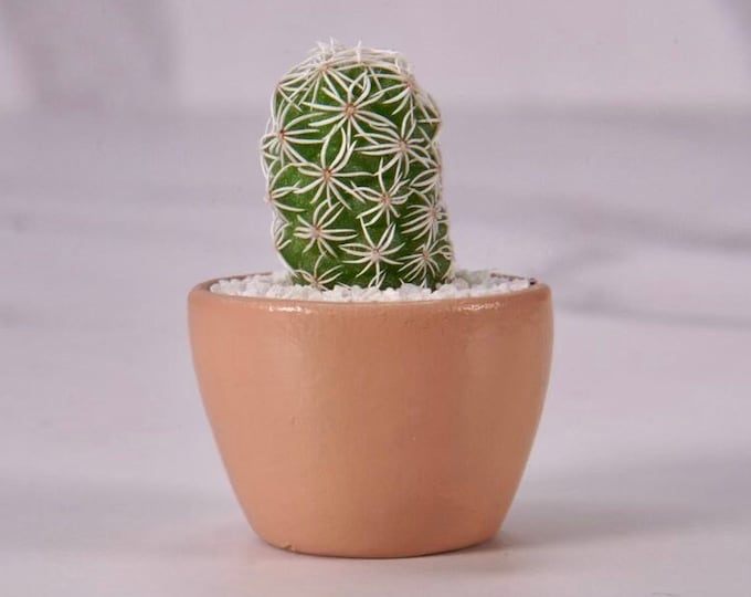 LITTLE PRICKS Miniature Cactus (light Brown) - DIY Cactus Kits, Hand ...
