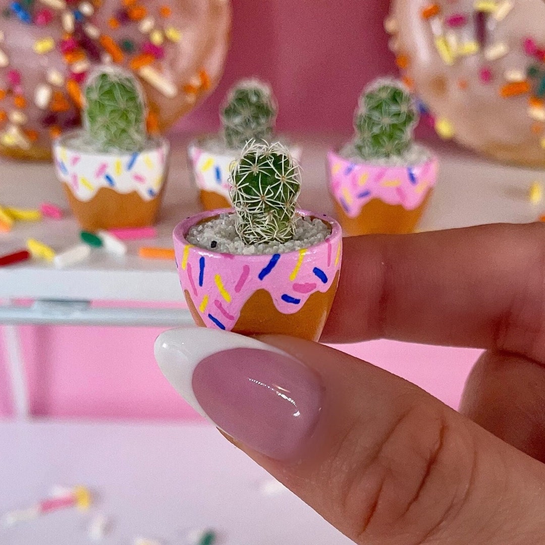 LITTLE PRICKS Miniature Cactus Sweet Treats Donut strawberry,micro - Etsy