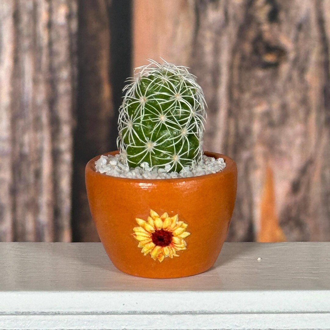 LITTLE PRICKS Miniature Cactus (sunflower)- Mini Cacti, Small Plant ...