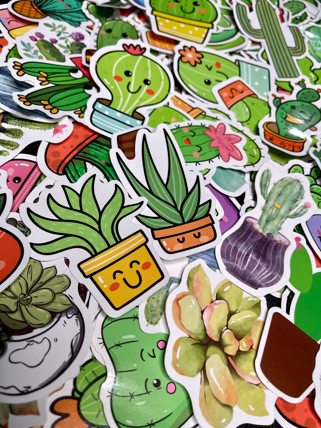 Cactus Themed Vinyl Stickers - Waterproof, Plant Stickers, Cactus ...