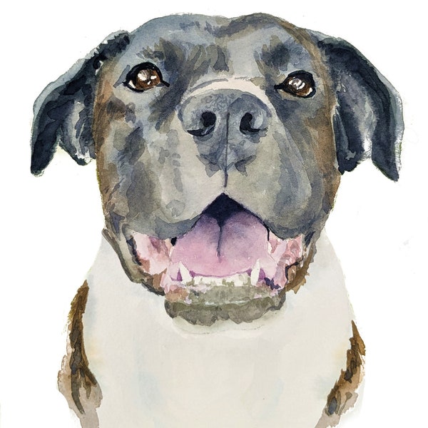 Hand Painted Cat - Etsy