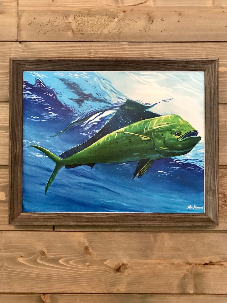 Acrylic Mahi Mahi Print Beach Wall Decor Nautical Art - Etsy