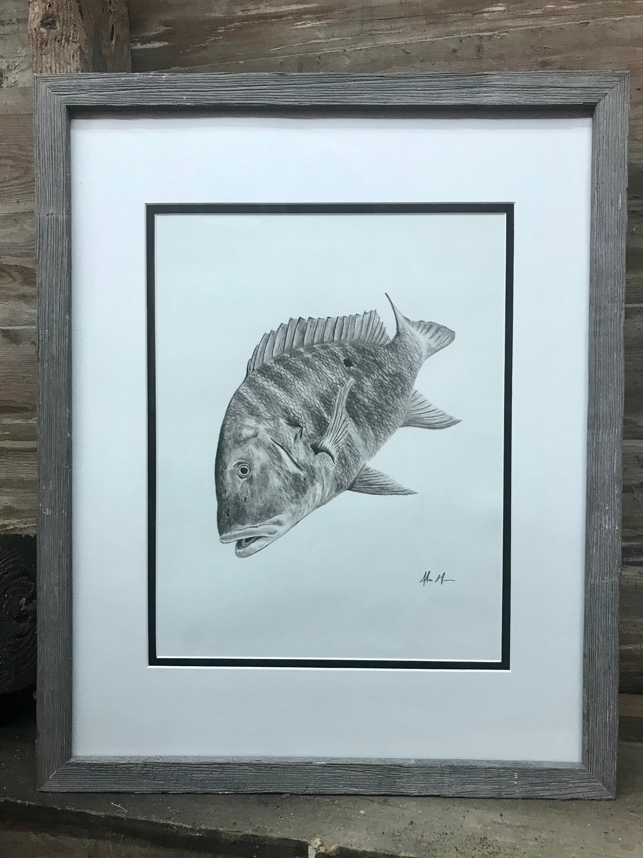 Charcoal Mutton Snapper Print - Etsy