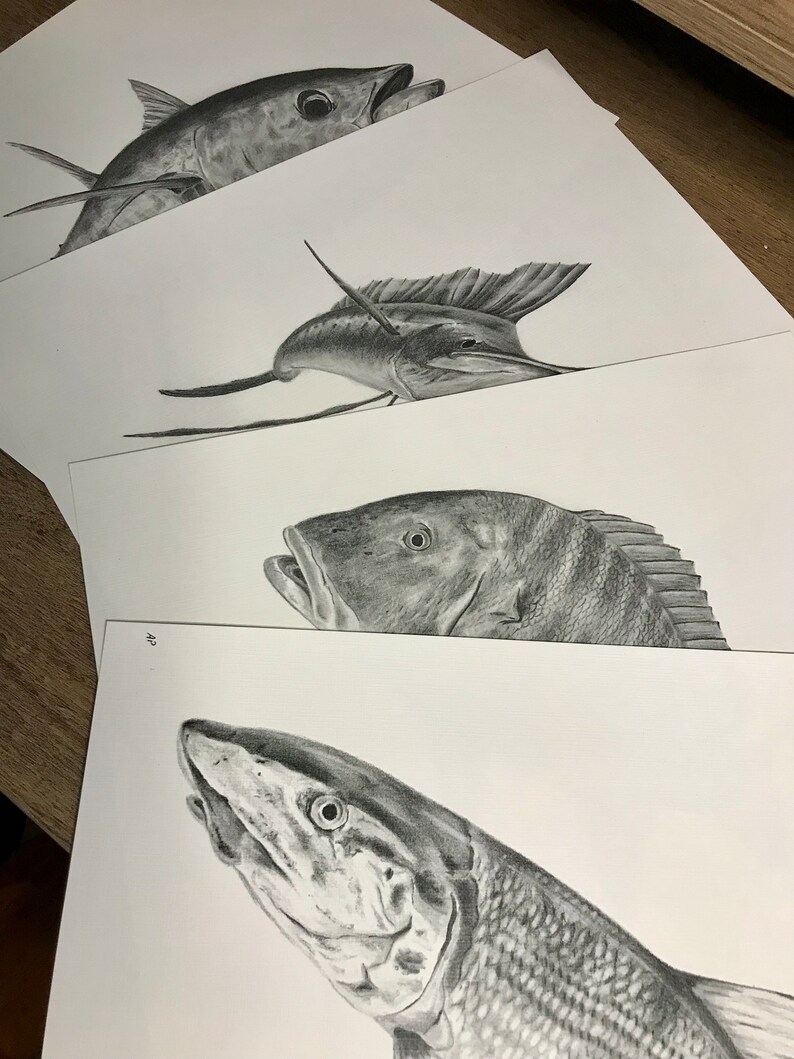 Charcoal Mutton Snapper Print - Etsy