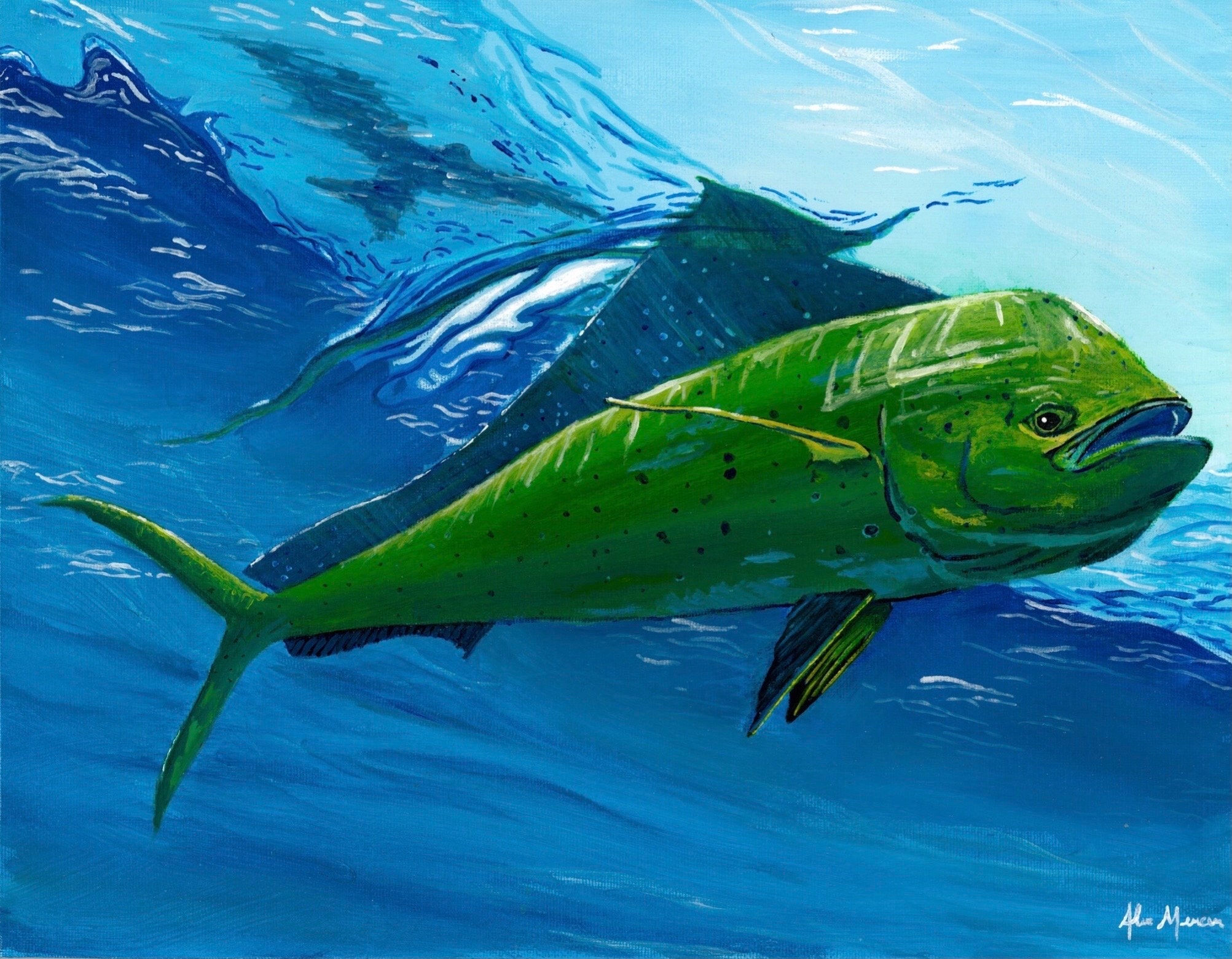 Acrylic Mahi Mahi Print | Beach Wall Decor | Nautical Art - Etsy