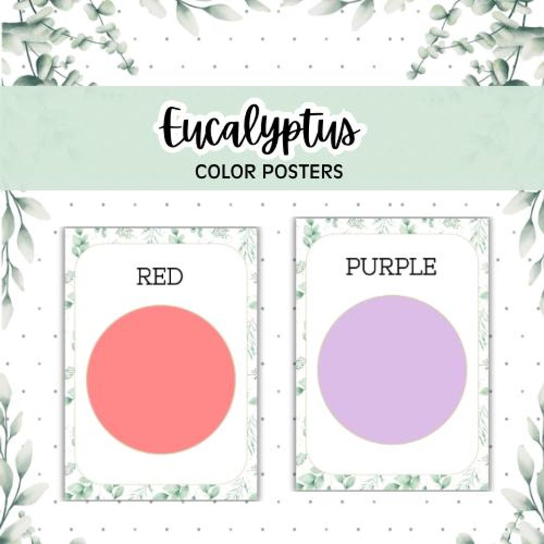 Eucalyptus Theme Color Posters, Classroom Color Posters - Etsy