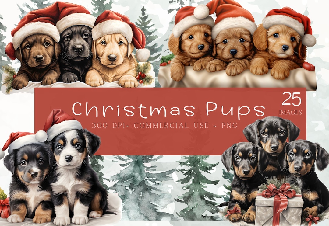 Watercolor Christmas Puppy Clipart, Christmas Graphics, Cute Puppy ...