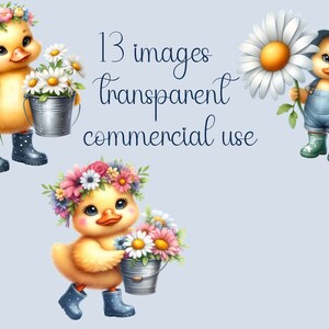 Watercolor Spring Duckling Clipart, Daisy Duck Clipart, Watercolor ...