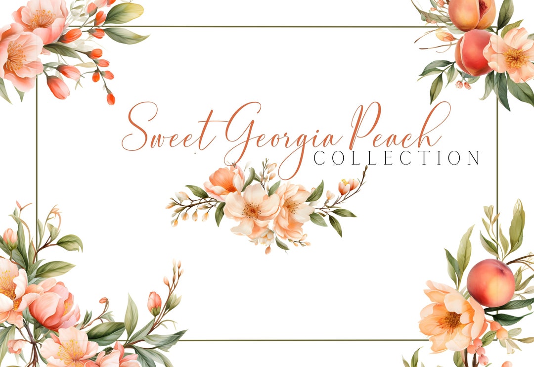 Watercolor Peach Rose Clipart: Floral PNG Bundle (digital Download) - Etsy