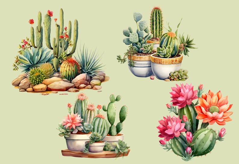 Watercolor Cactus Clipart Desert Cacti Commercial Use Potted Plant ...