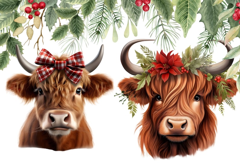 Highland Cow Christmas Clipart Png, Girl Christmas Highland Cow ...