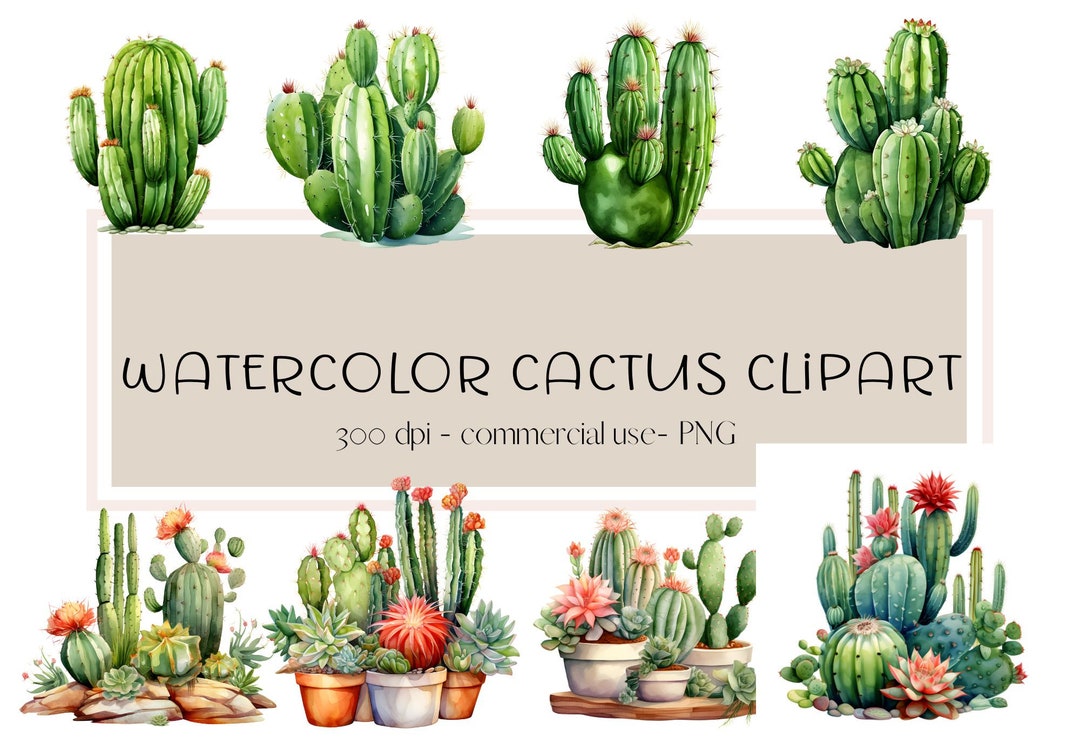 Watercolor Cactus Clipart: Desert Plant PNG Bundle (commercial Use ...