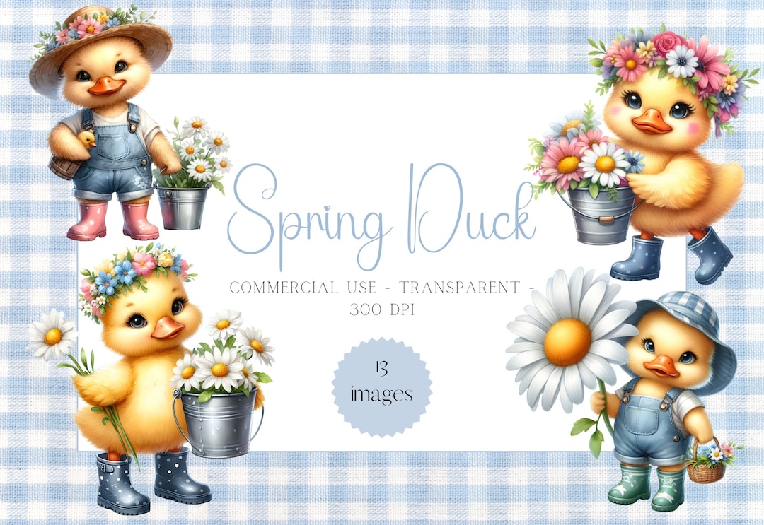 Watercolor Spring Duckling Clipart, Daisy Duck Clipart, Watercolor ...