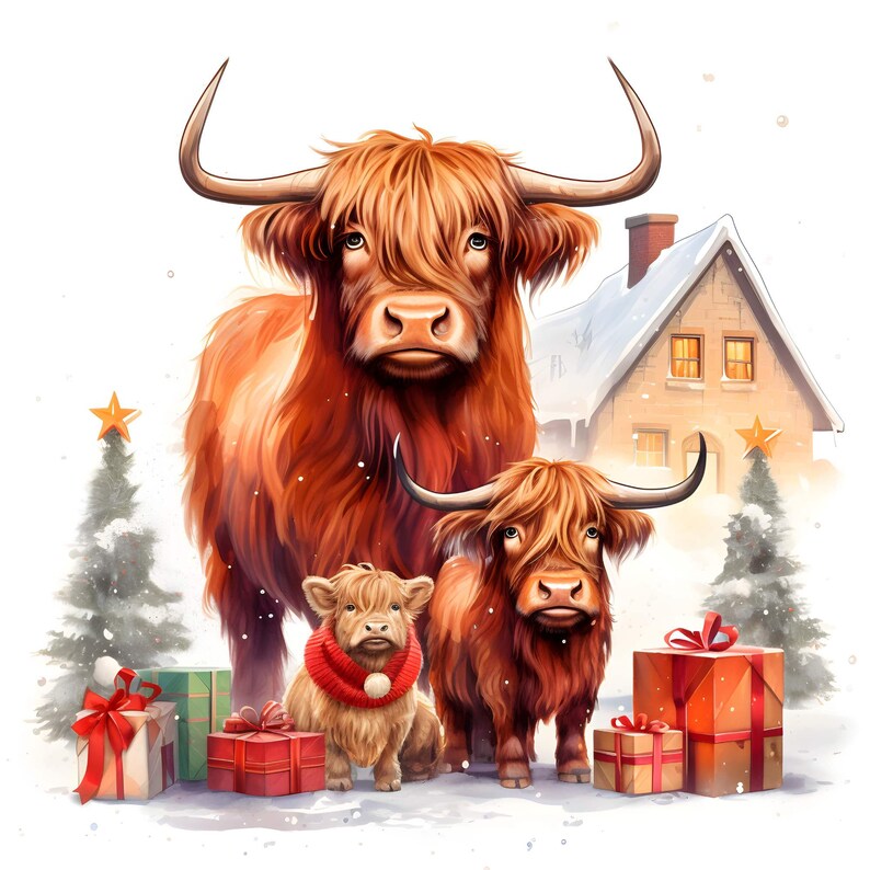 Watercolor Christmas Highland Cow Clipart: Holiday PNG (digital ...