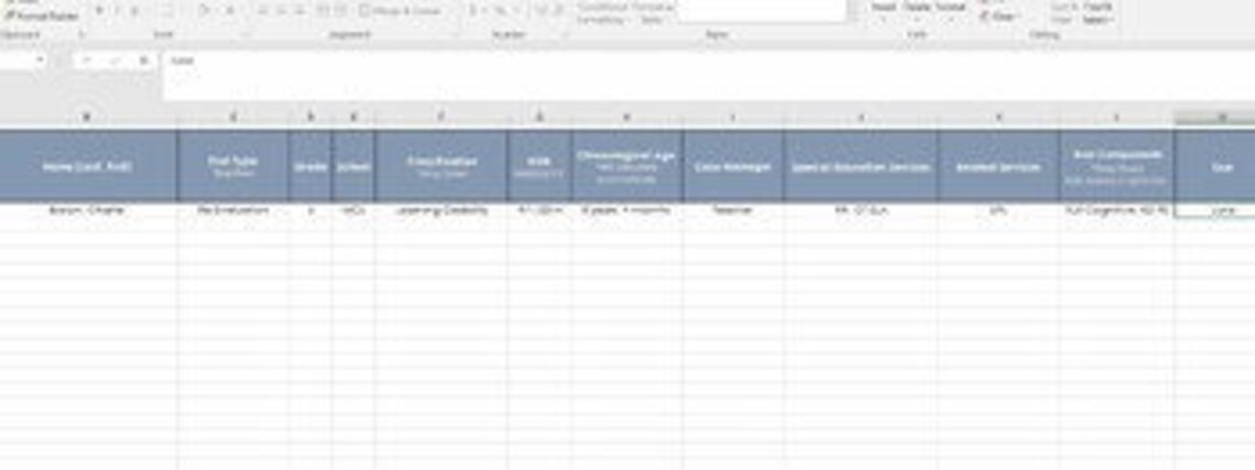School Psychologist Excel Caseload Evaluation Report Tracker Special Ed ...