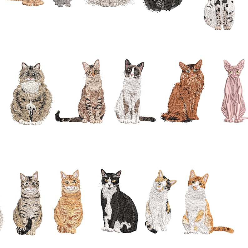 44 Cat Breeds Embroidery Designs: Custom Cat Mom Gift (digital File) - Etsy