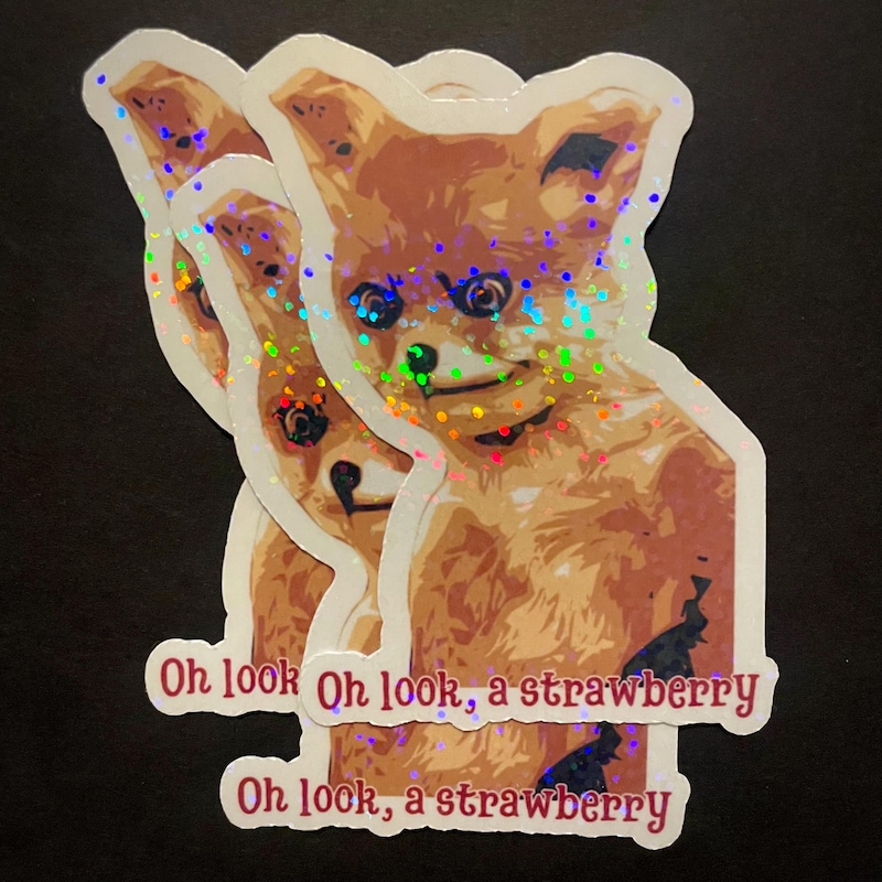 Tik Tok Meme Stickers - Etsy