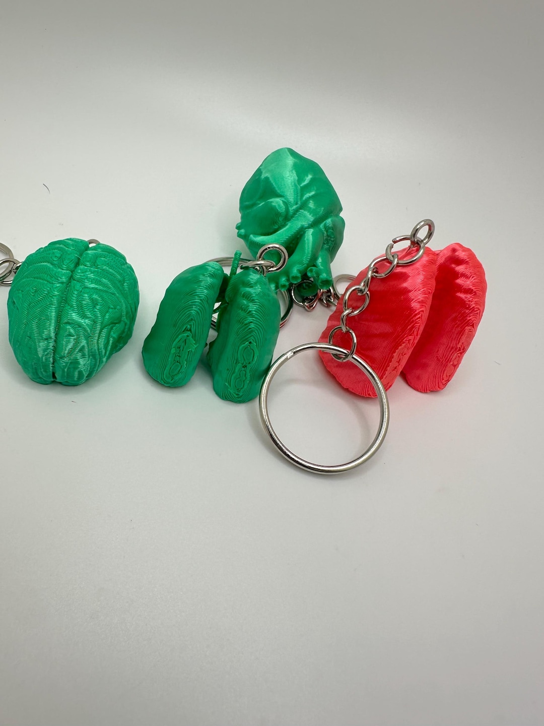 Anatomical Heart Keychain - Unique Organ Keychains for Science Lovers ...