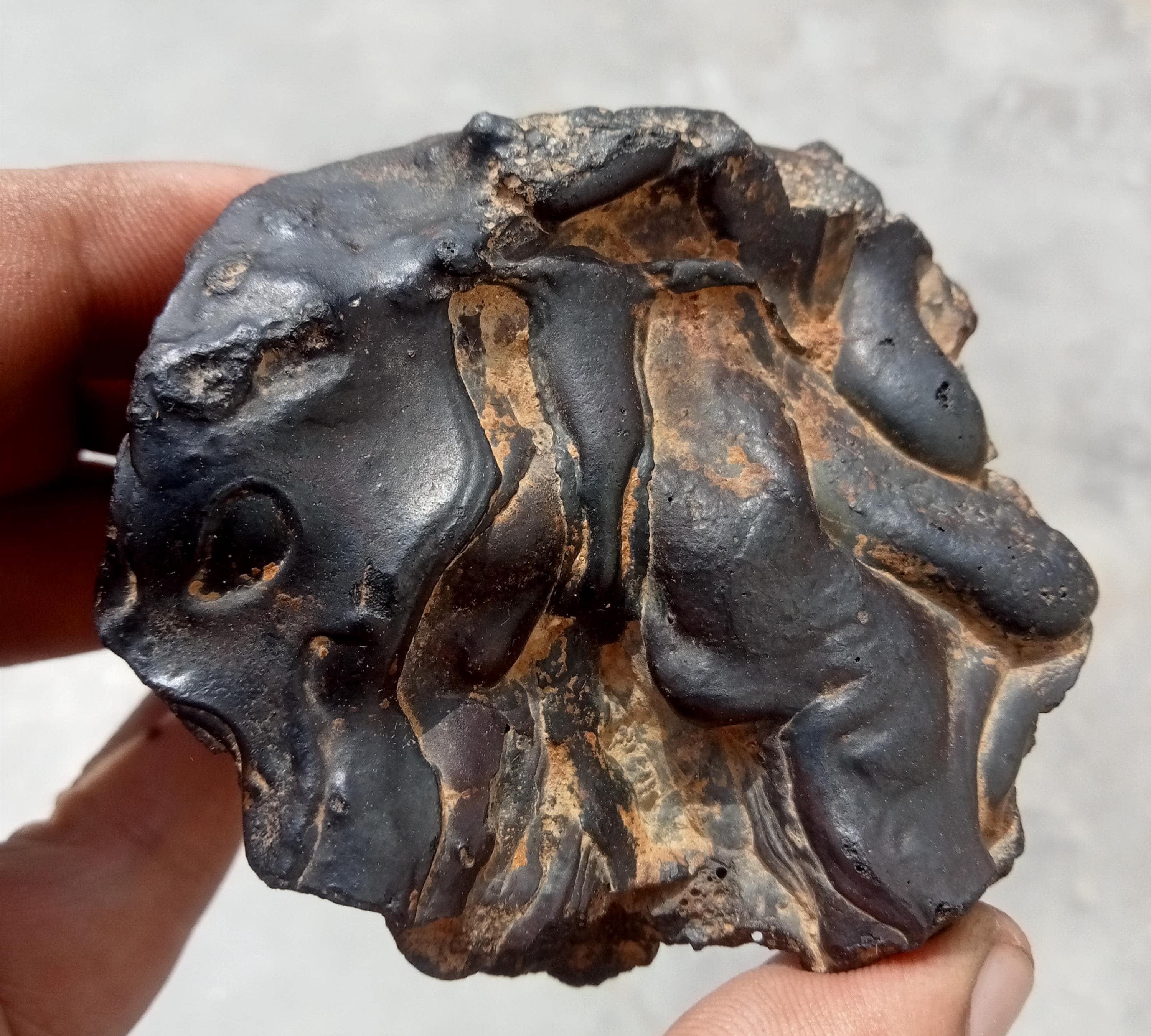 Mars Meteorite Rock Specimen: Very Rare Fusion Crust Molten Nickel Iron ...