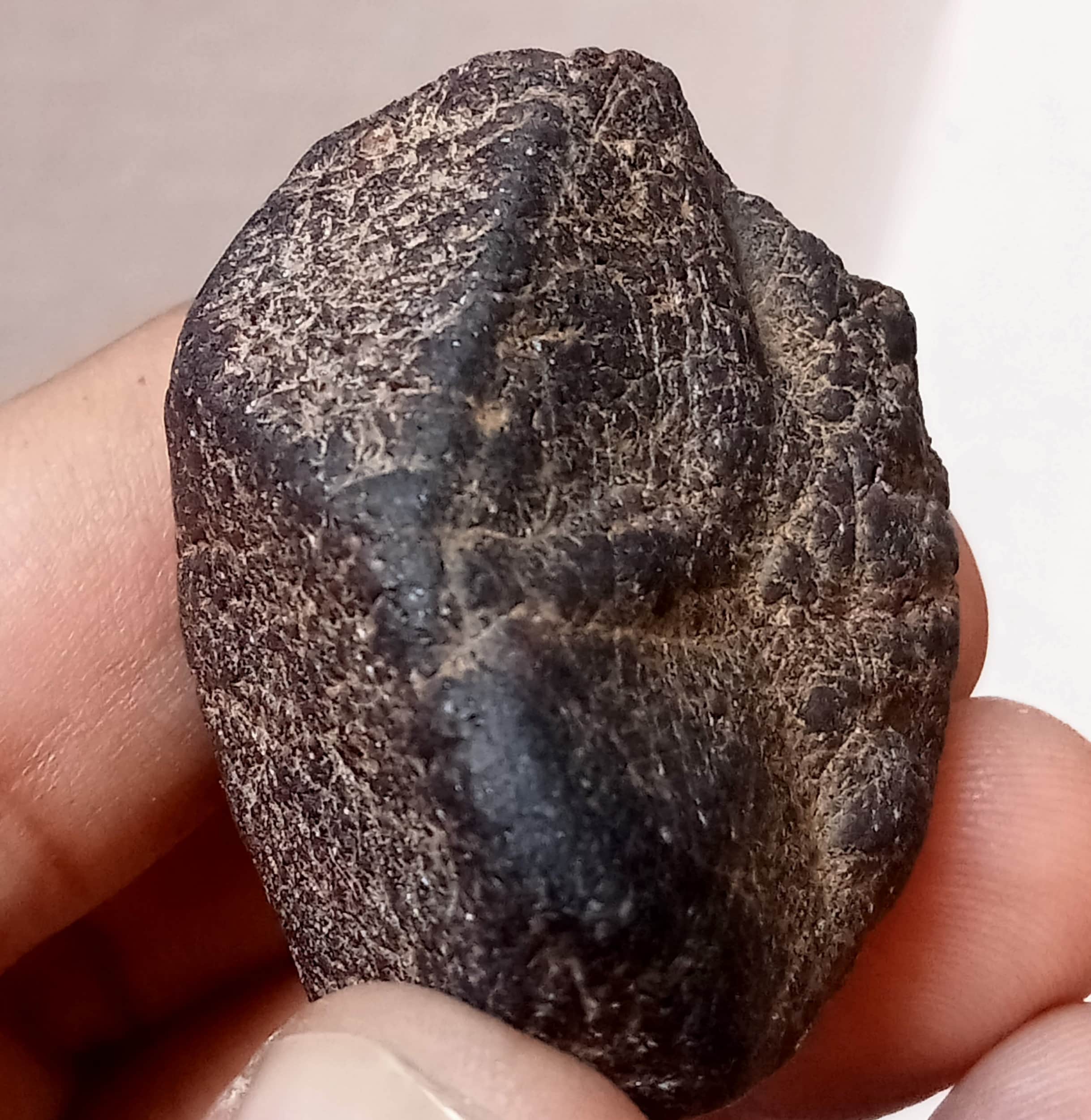 Raw Meteorite Rock From Space Unique Shape Museum Quality 67 Grams. - Etsy