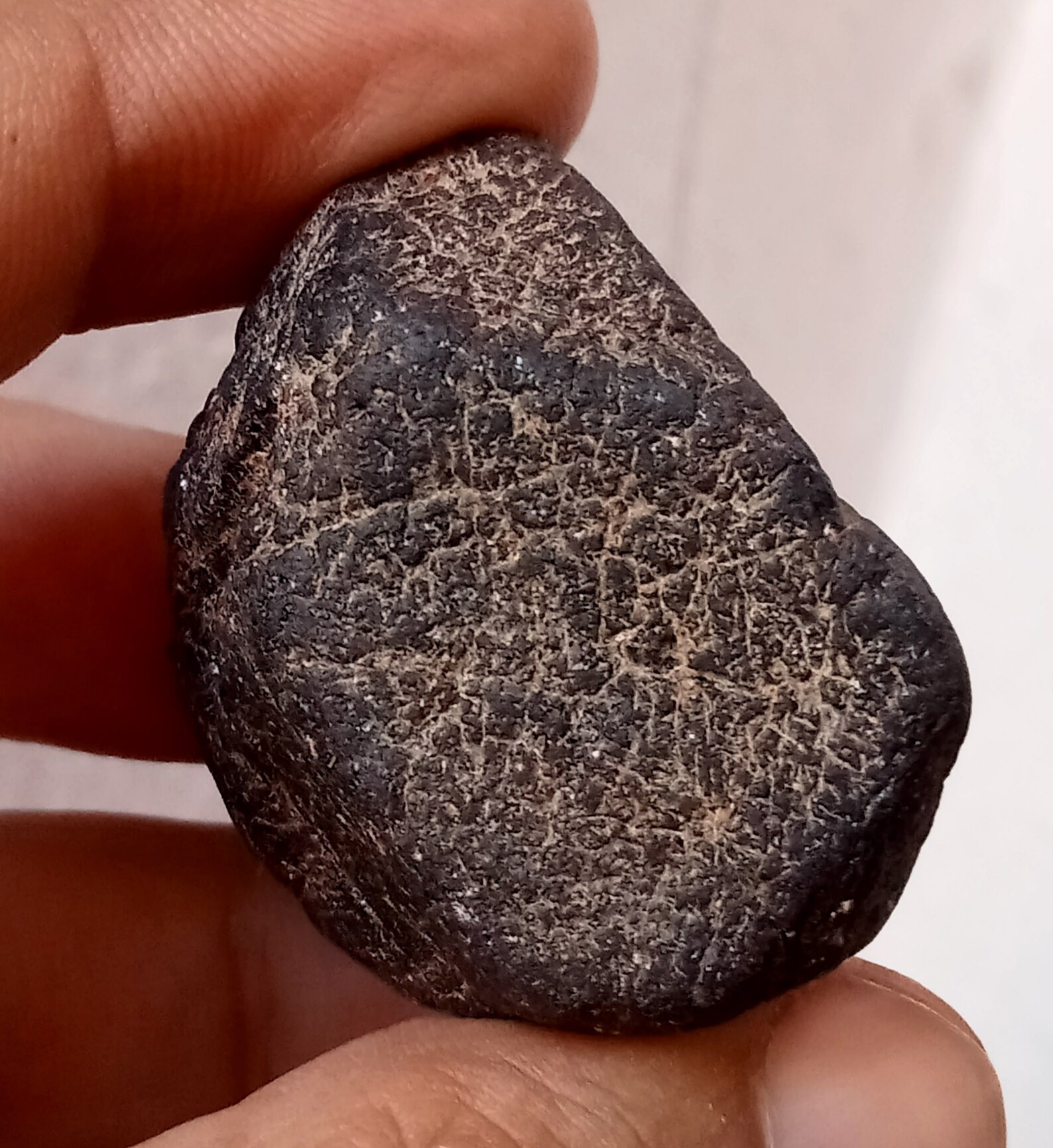 Black Diamond Carbonado Meteorite Rock From Space Millions of Years Old ...