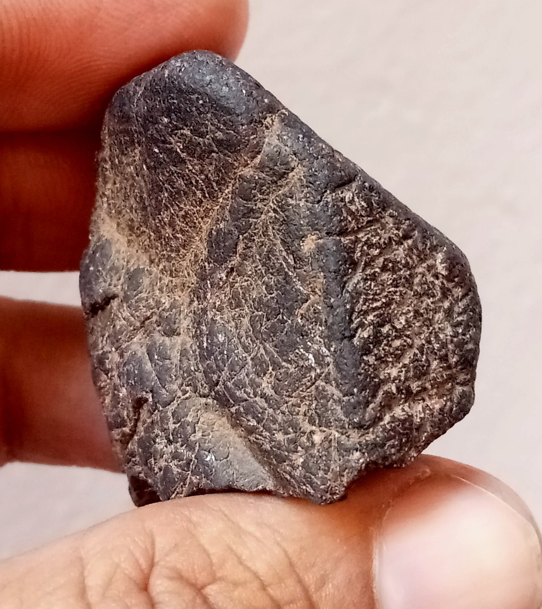 Musium Quality Black Diamond Carbonado Meteorite Rock From Space ...