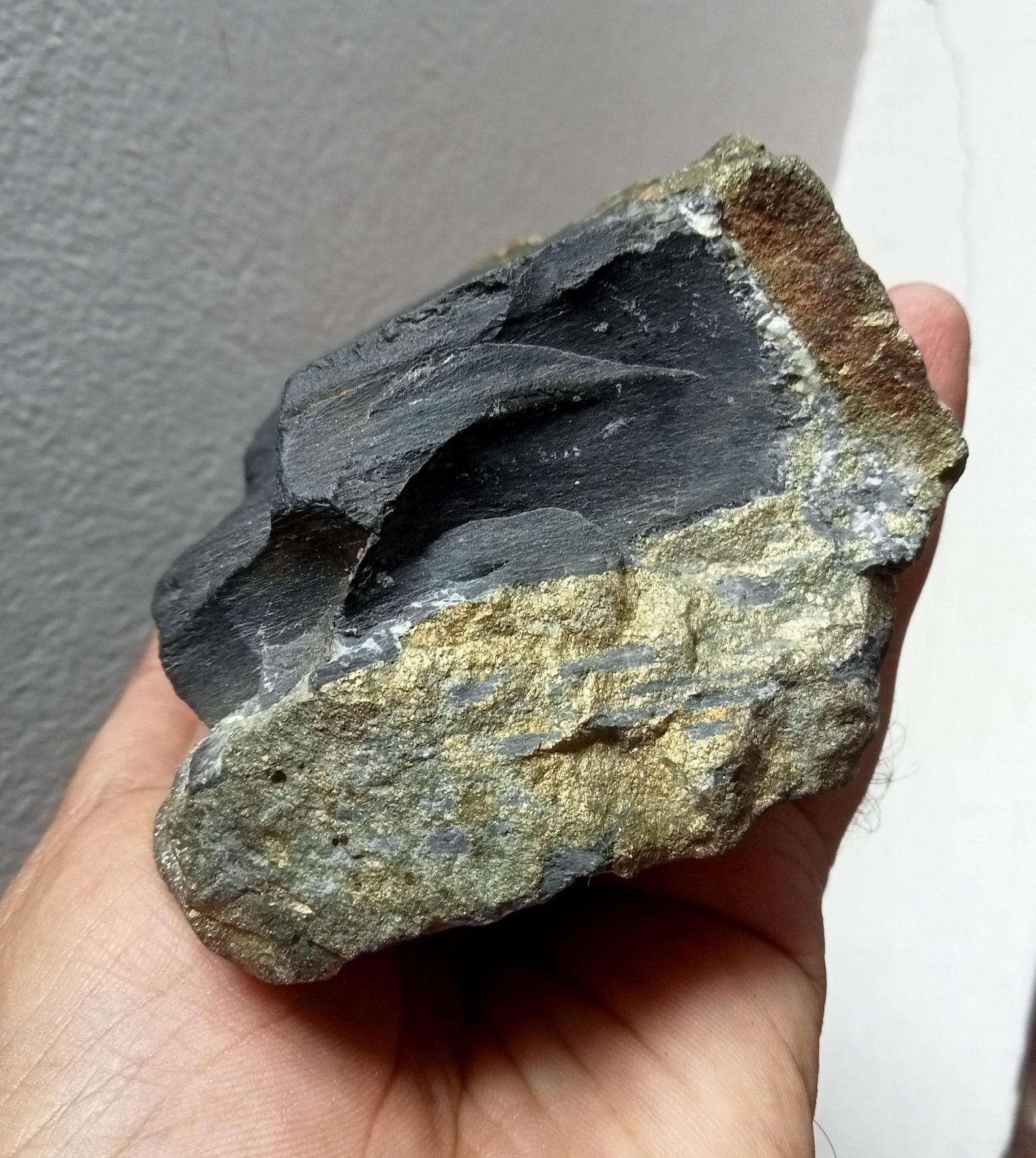 Rare Gold and Silver Shine Stone Rock and Mineral Uncut Raw Length, 6 ...