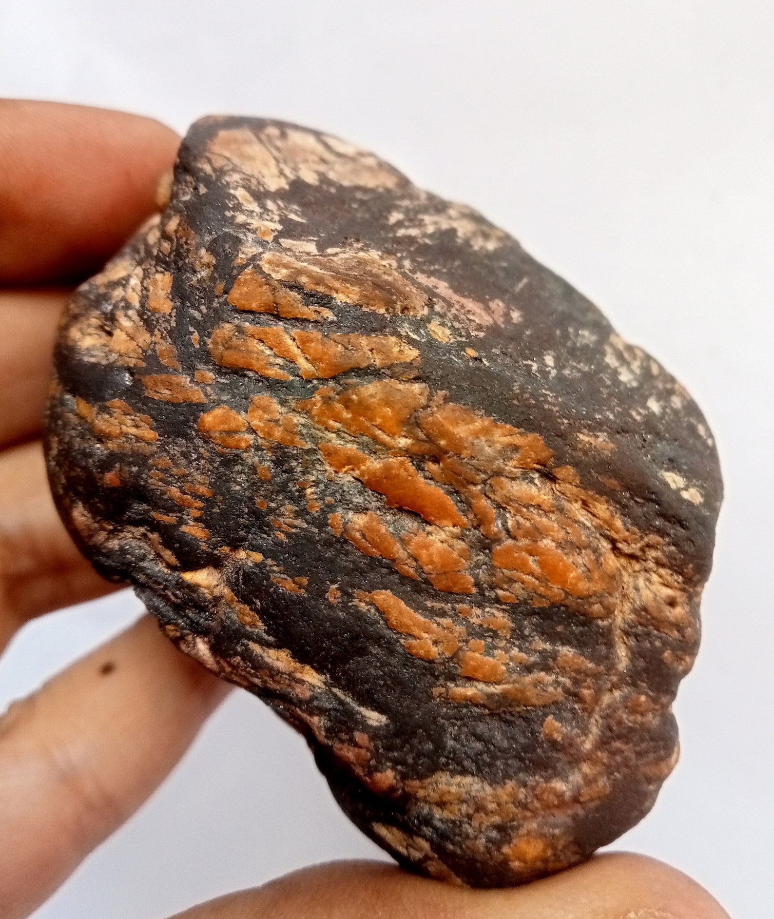 Stony Meteorite Rock From Space Mildly Magnetic a Natural Triangle ...