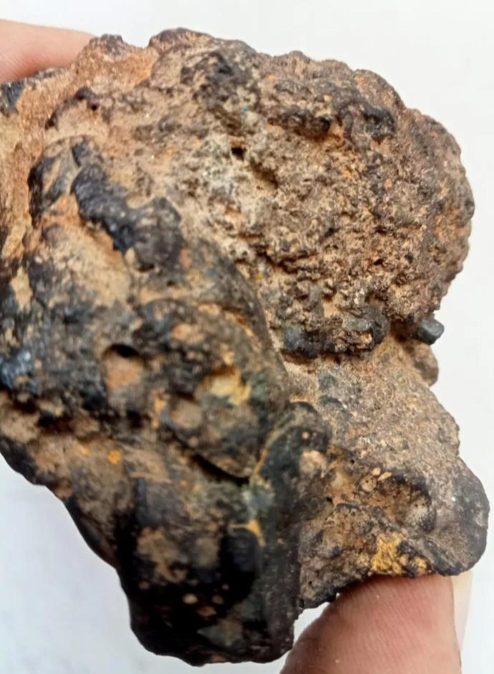 Mars Meteorite Rock Specimen: Very Rare Fusion Crust Molten Nickel Iron ...