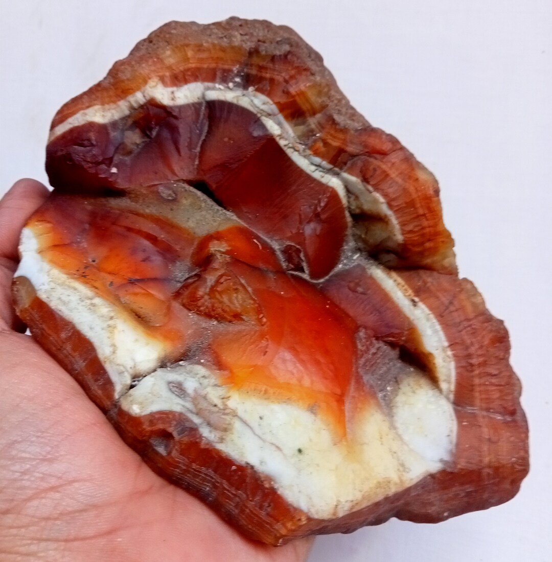 Musium Quality Very Rare Large Natural Agate Red Flower Structure Uncut ...