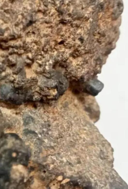 Mars Meteorite Rock Specimen: Very Rare Fusion Crust Molten Nickel Iron ...