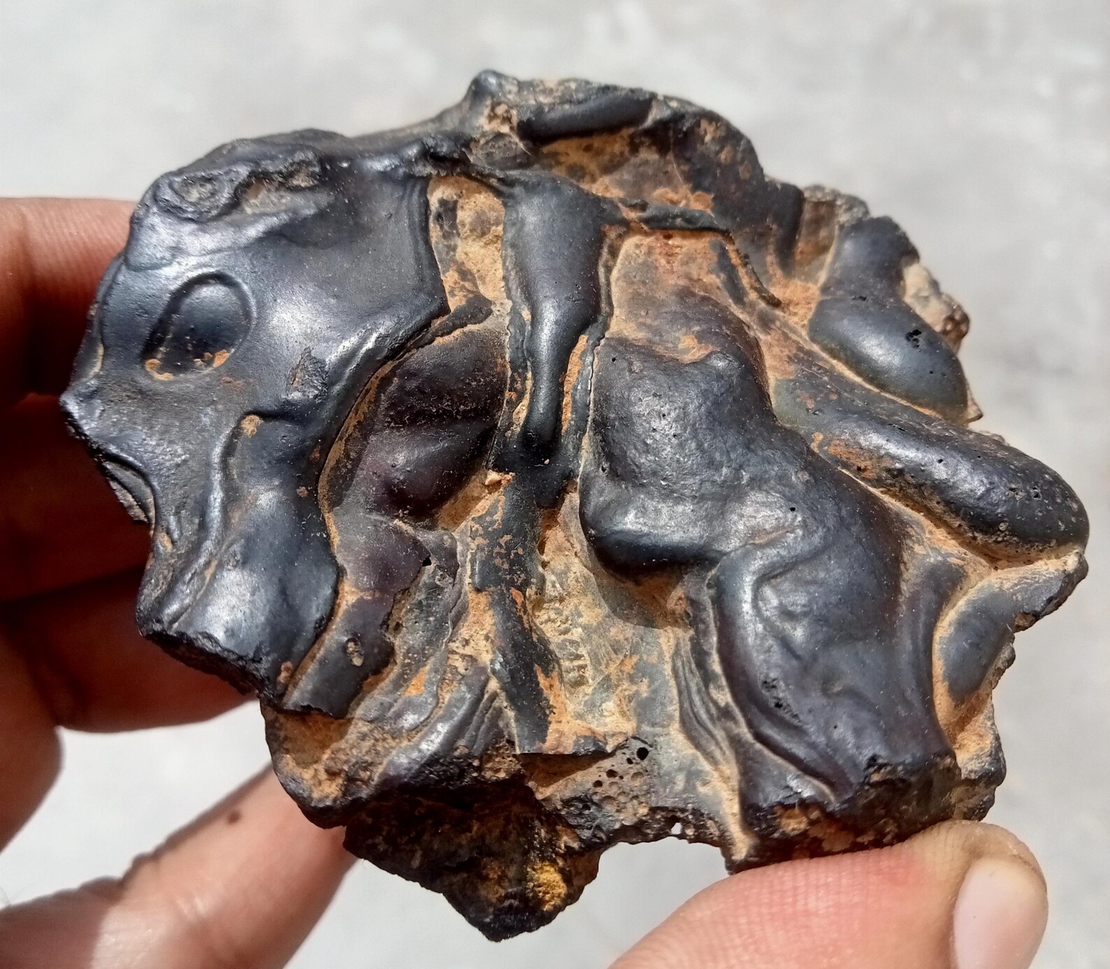 Mars Meteorite Rock Specimen: Very Rare Fusion Crust Molten Nickel Iron ...