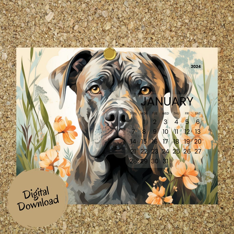 2024 Popular Dog Breeds Calendar Printable Calendar Sunday - Etsy