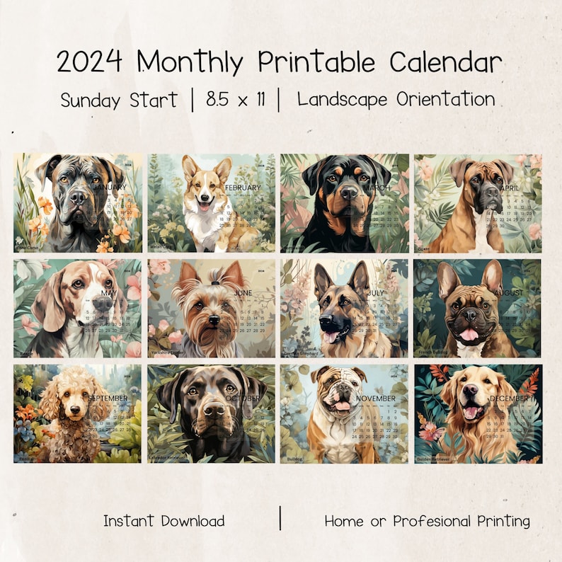 2024 Popular Dog Breeds Calendar Printable Calendar Sunday - Etsy