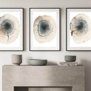 Tree Ring Wall Art Set of 3 | Tree Ring Prints | Digital Download ...
