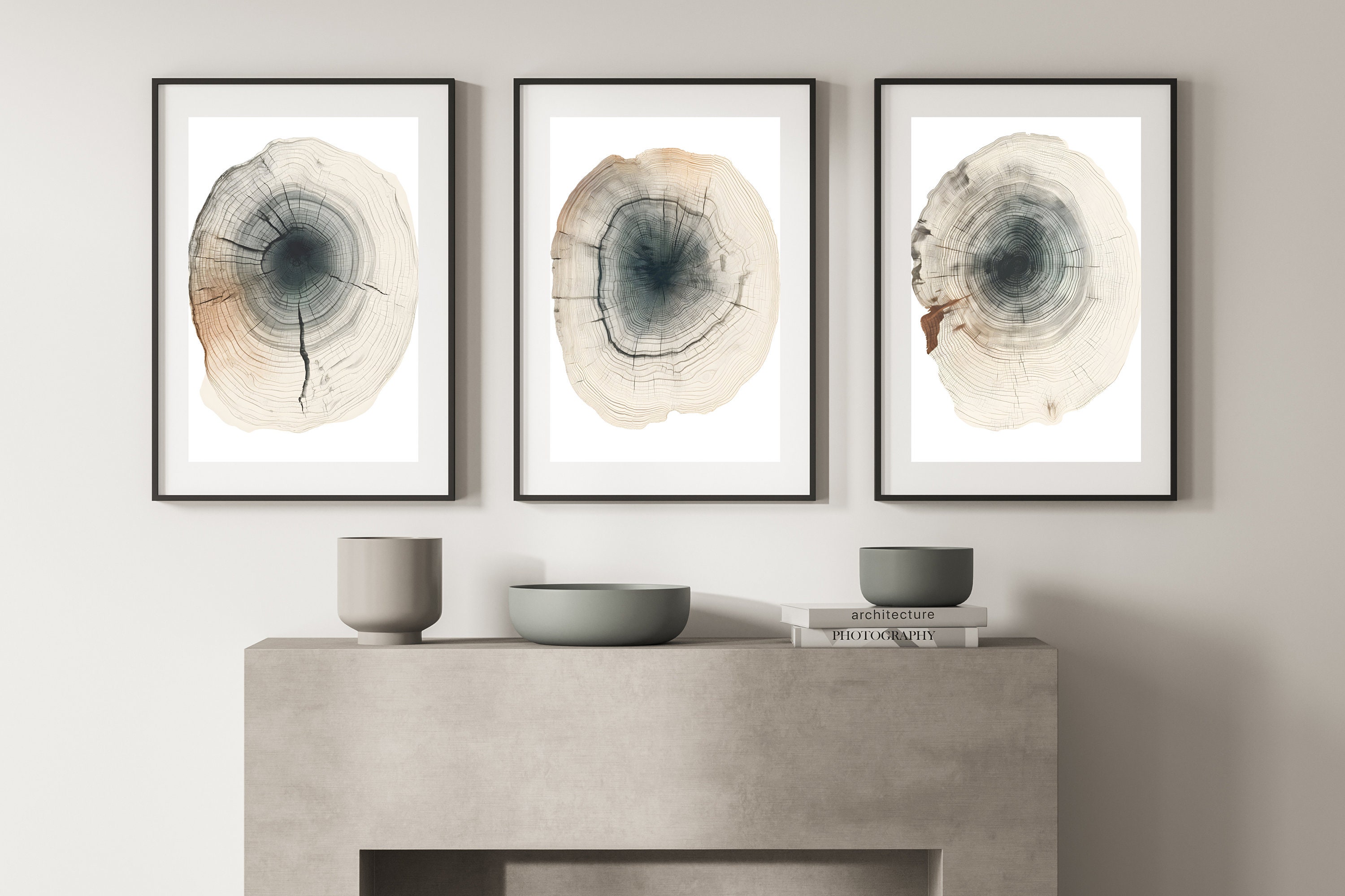 Tree Ring Wall Art Set of 3 | Tree Ring Prints | Digital Download ...
