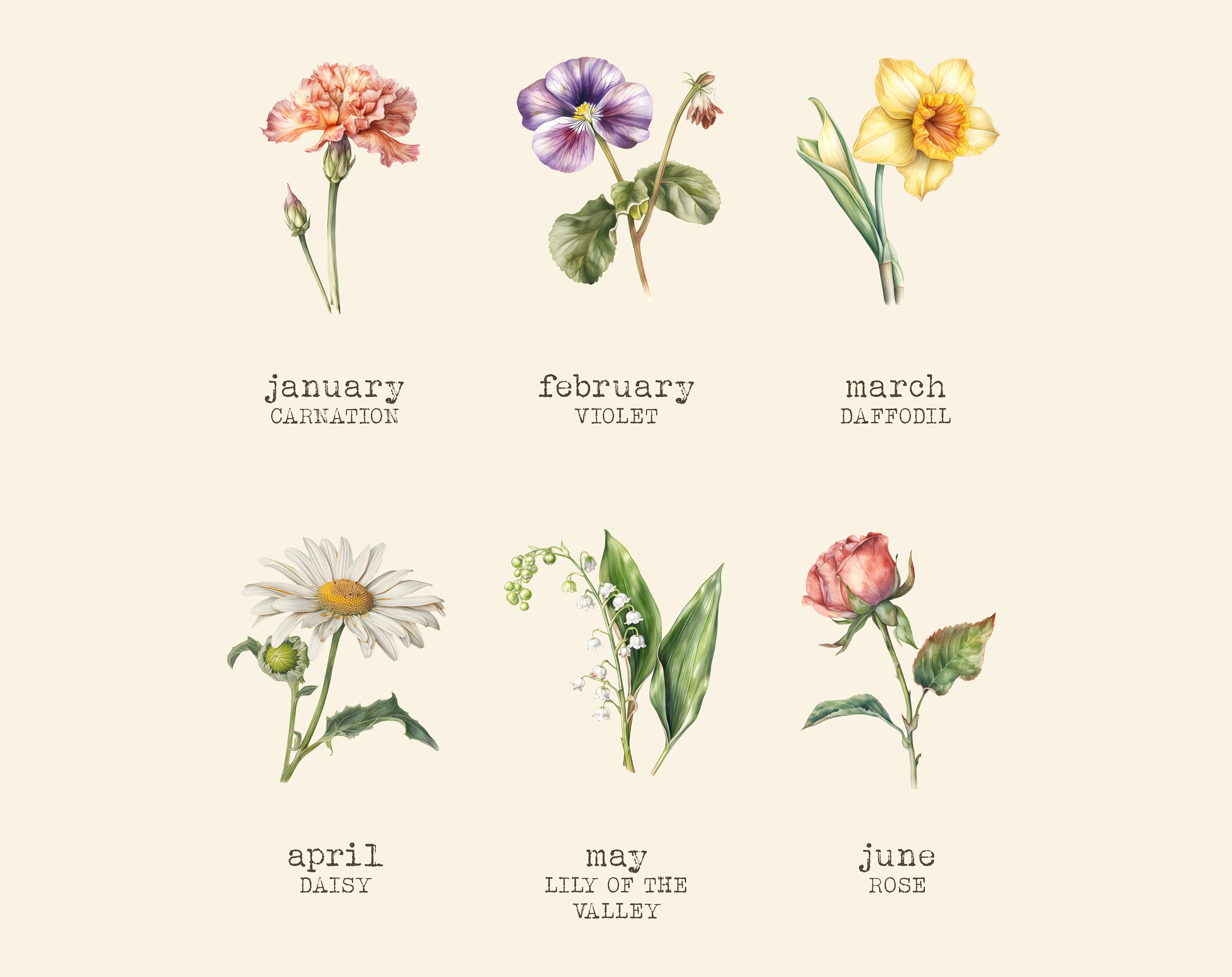 Birth Month Flower PNG Bundle | Birth Flower Clipart | Graphics Floral ...