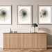 Tree Ring Wall Art Set of 3 | Tree Ring Prints | Digital Download ...
