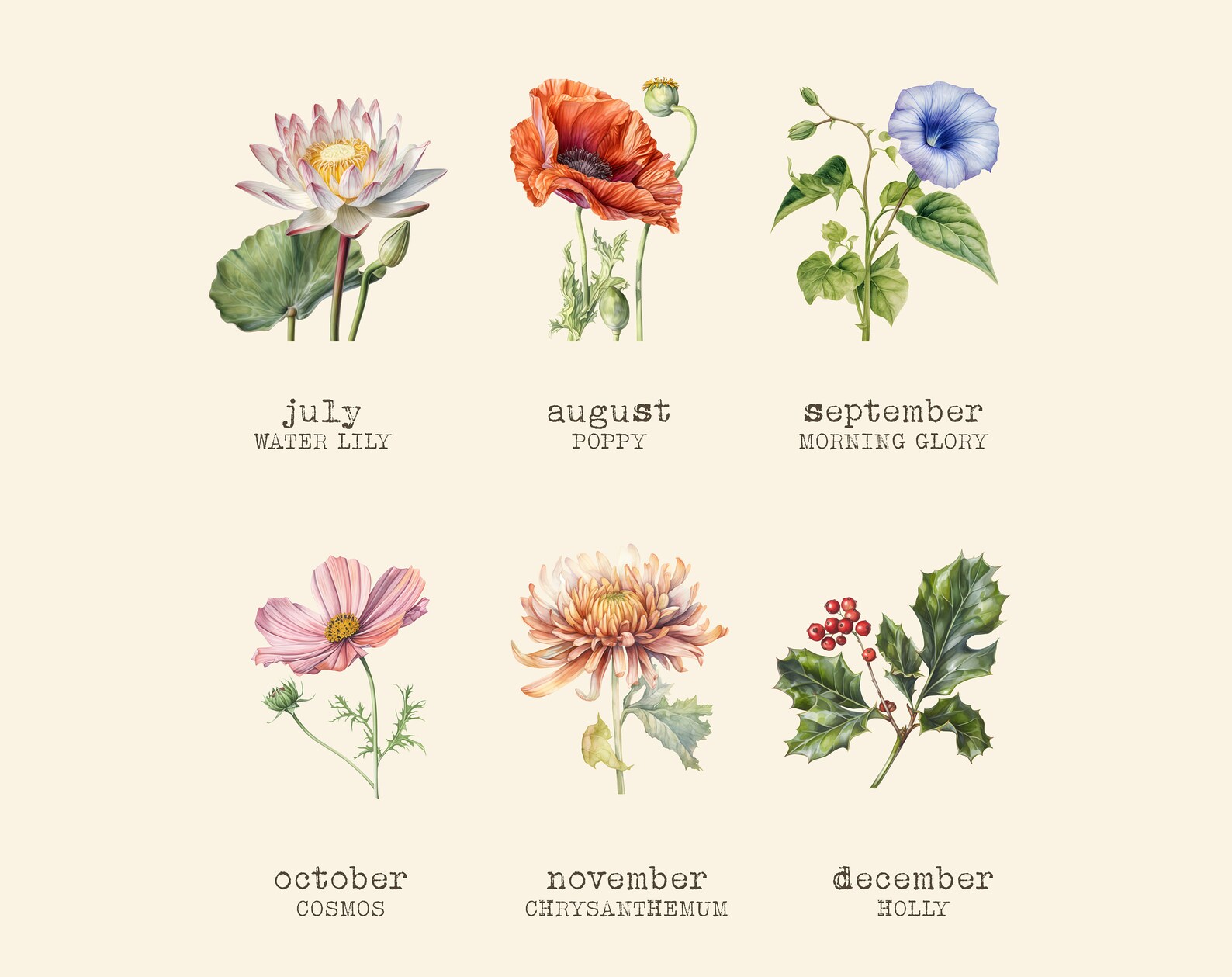 Birth Flowers Stickers for Goodnotes Planning, Digital Sticker Planner ...