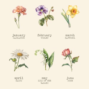 Birth Flowers Stickers for Goodnotes Planning, Digital Sticker Planner ...