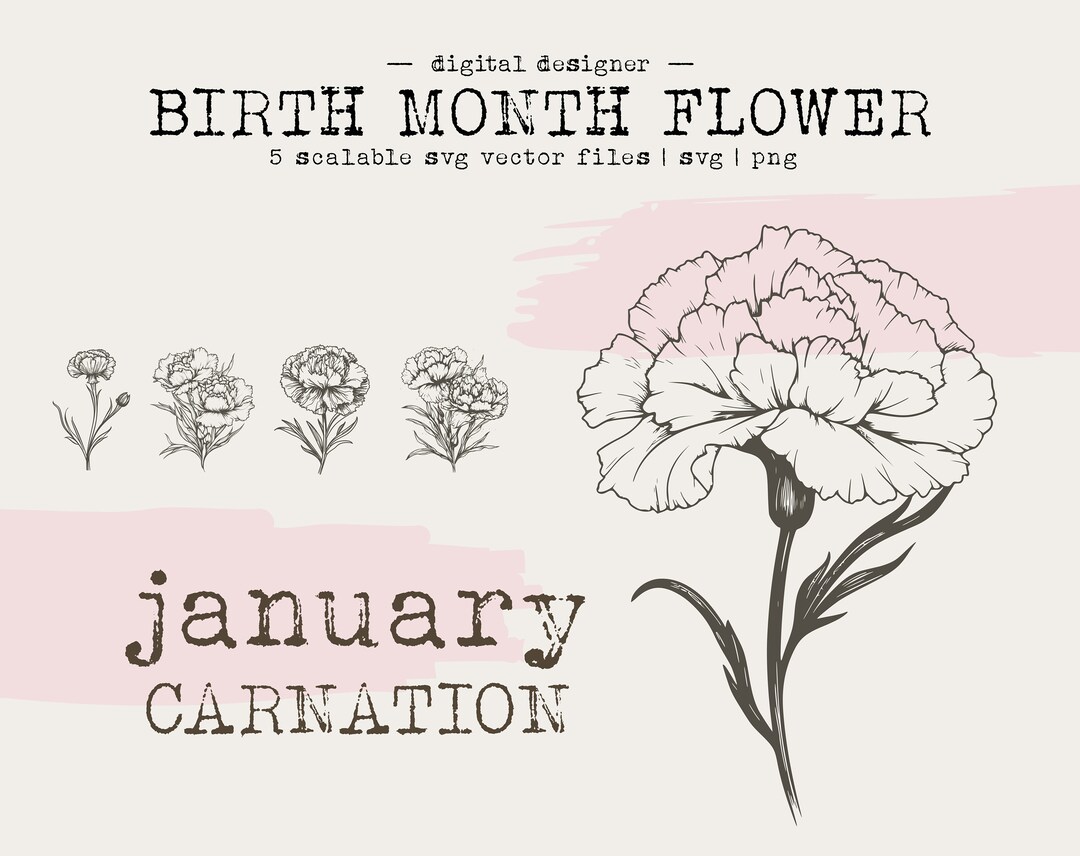 Jaunary Birth Flower Svg Bundle Birth Flower January - Etsy Australia