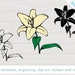 Flower Collection, Rose, Lily, Sunflower, Daisy, Svg, Dxf, Eps, Png, Ai ...