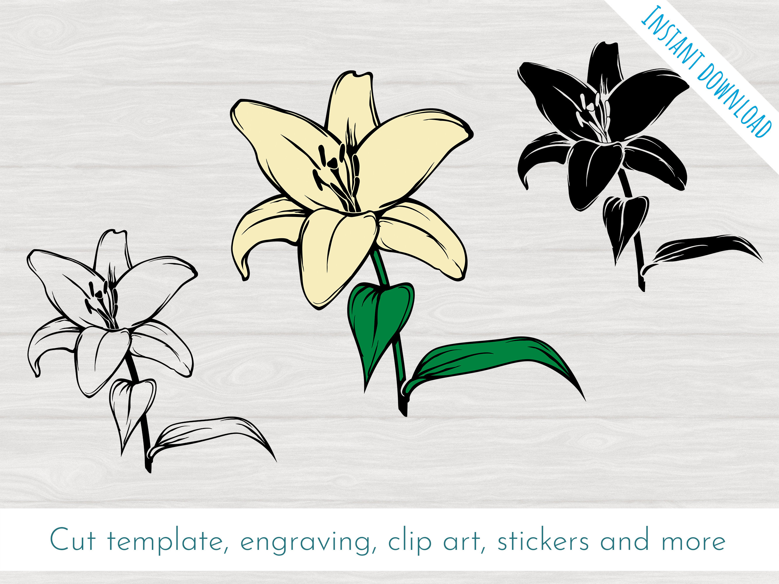 Flower Collection, Rose, Lily, Sunflower, Daisy, Svg, Dxf, Eps, Png, Ai ...