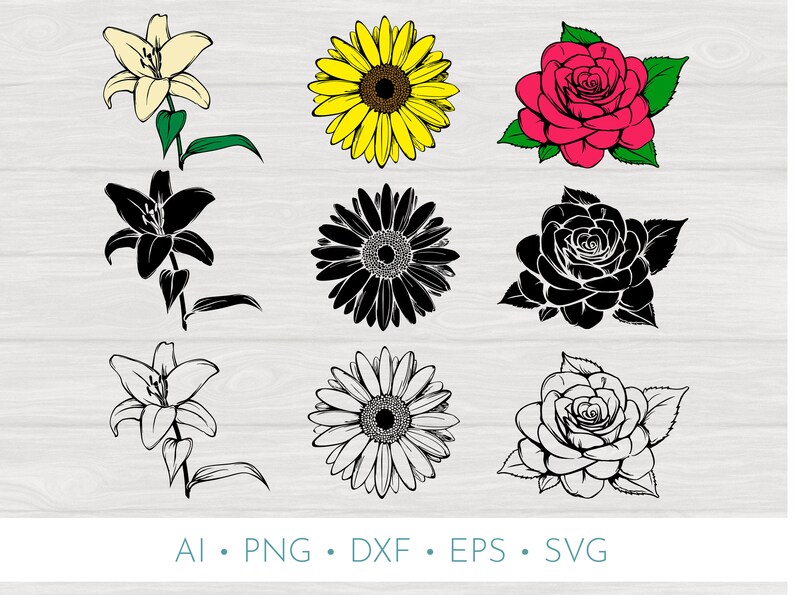 Flower Collection, Rose, Lily, Sunflower, Daisy, Svg, Dxf, Eps, Png, Ai ...