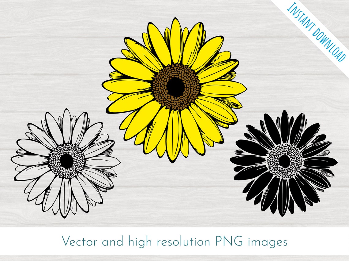 Flower Collection, Rose, Lily, Sunflower, Daisy, Svg, Dxf, Eps, Png, Ai ...