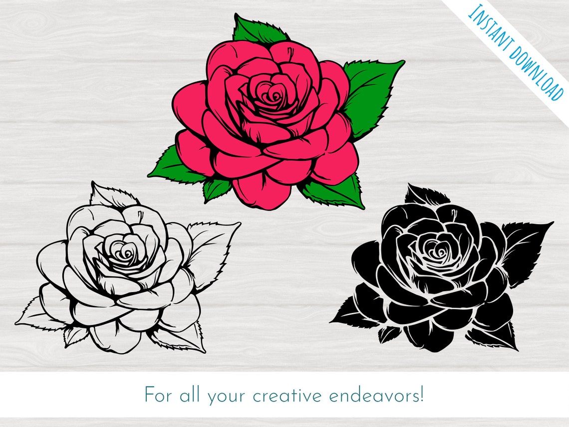 Flower Collection, Rose, Lily, Sunflower, Daisy, Svg, Dxf, Eps, Png, Ai ...