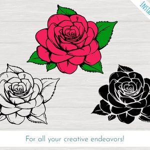 Flower Collection, Rose, Lily, Sunflower, Daisy, Svg, Dxf, Eps, Png, Ai ...