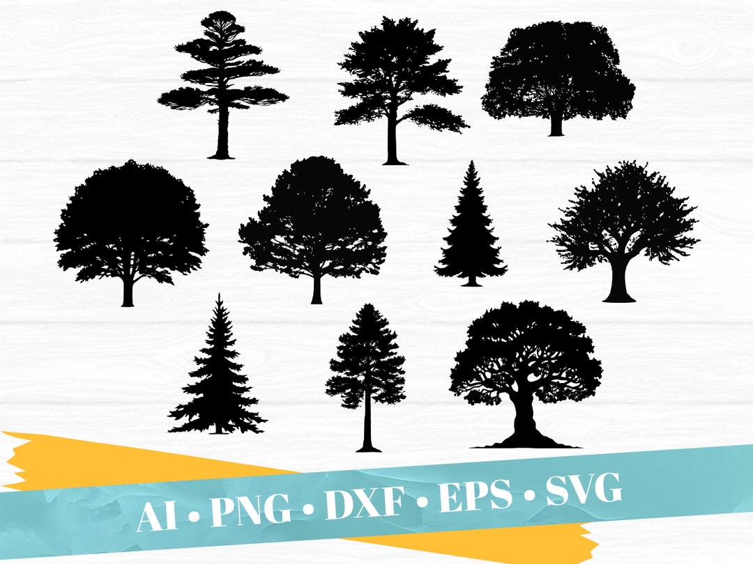Tree Silhouette Bundle. Oak, Maple, Pine, Fir, Beech. Svg, Dxf, Eps ...