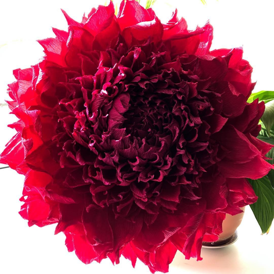 Giant Flower Astro Giant Flower Template and Video - Etsy